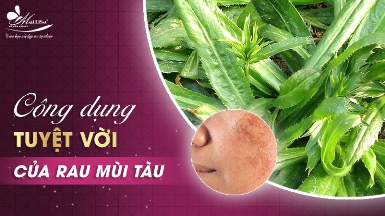 Rau Mùi Tàu Trị Nám Có Hiệu Quả Không? Những điều Bạn Nên Biết